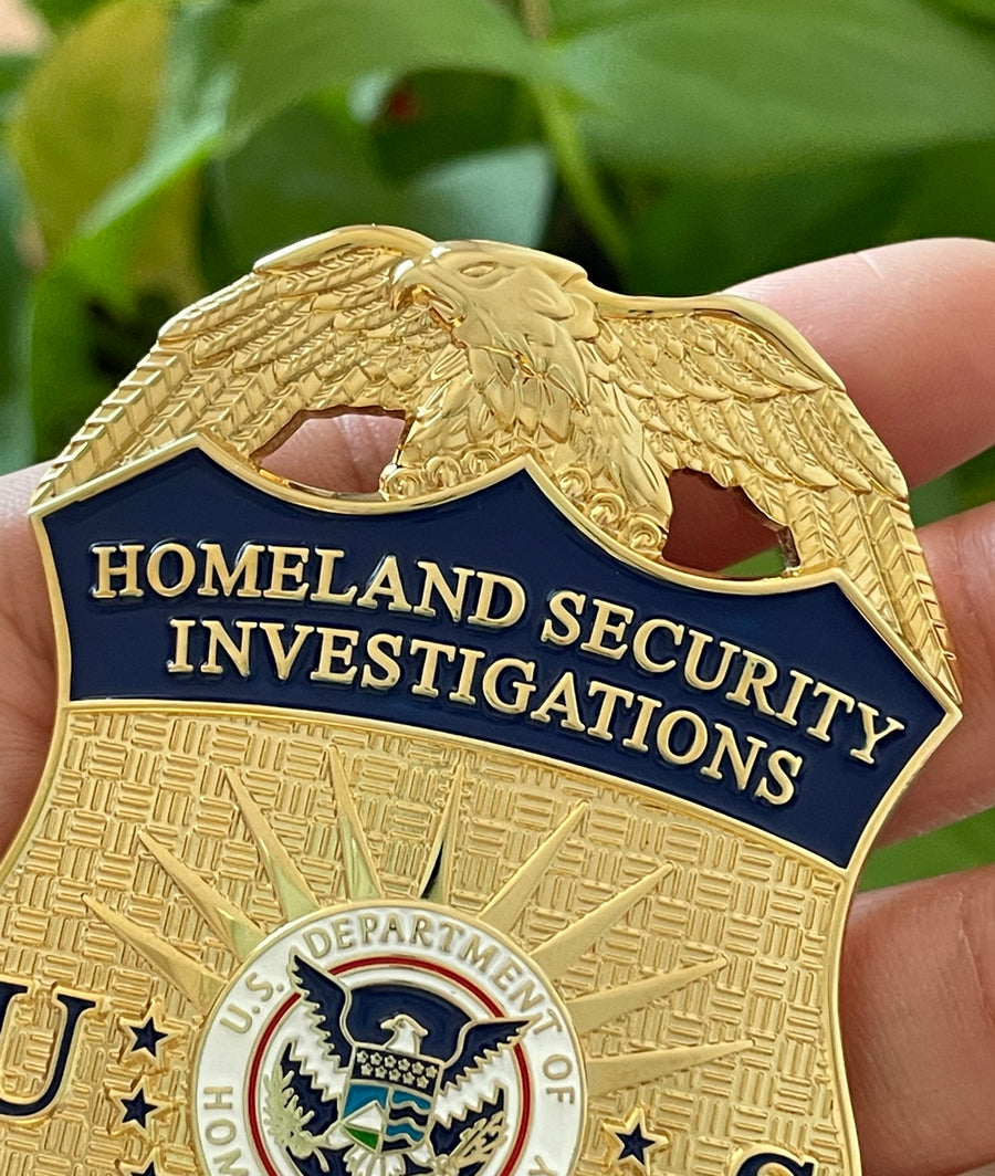 US HSI TFO Task Force Officer Badge Homeland Security Investigations R ...