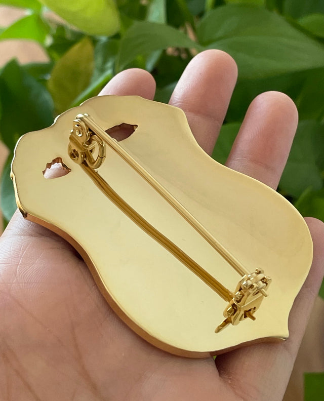 US HSI TFO Task Force Officer Badge Homeland Security Investigations R ...